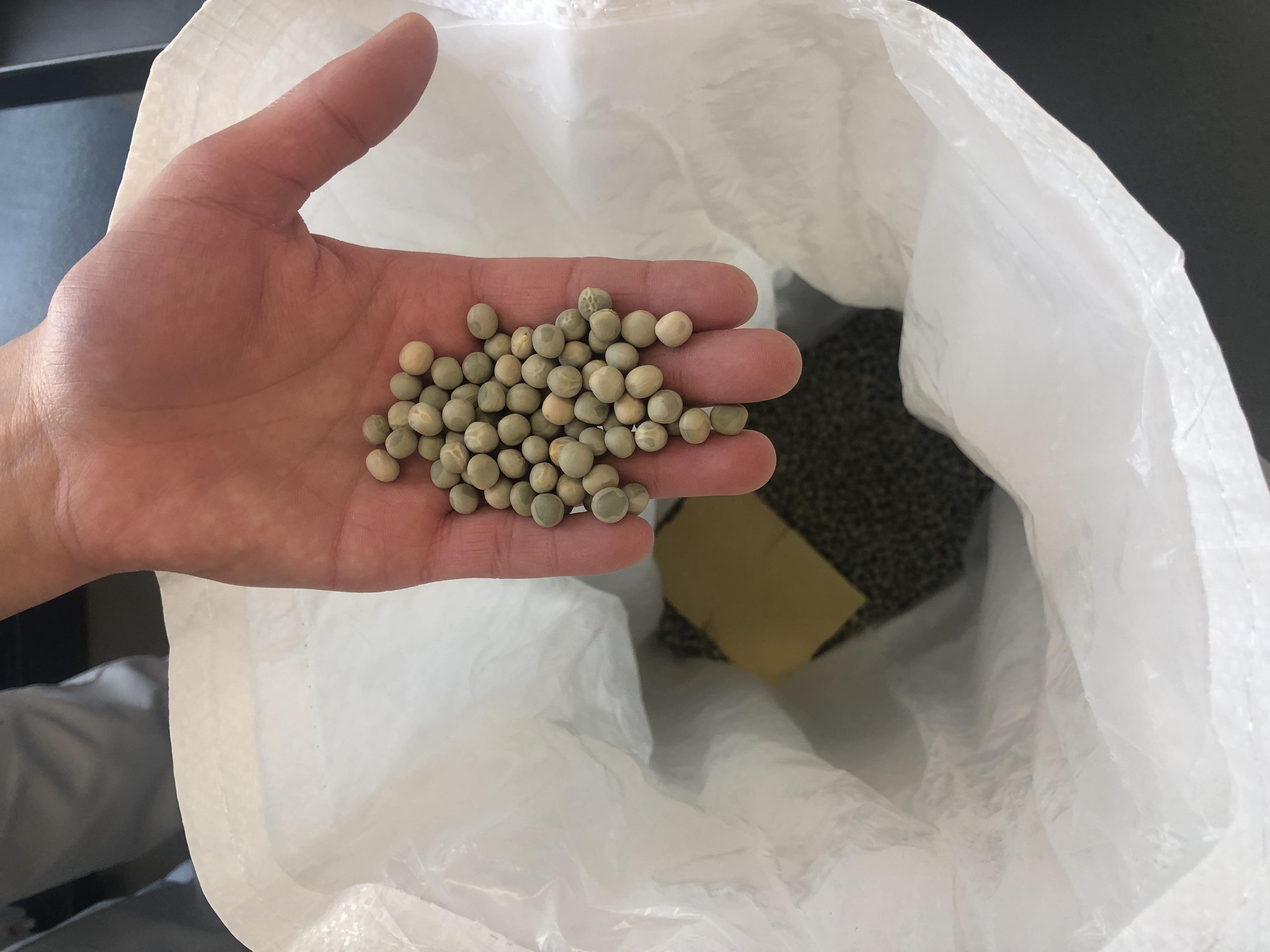 Behind the scenes: The story of AnaGain™ | Mibelle Biochemistry