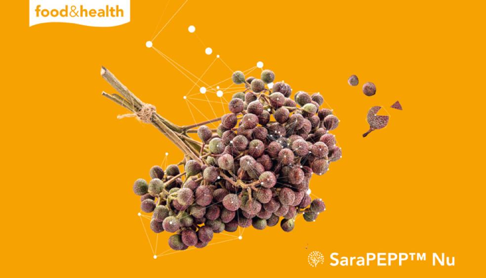 New peer-reviewed article on Timut pepper | Mibelle Biochemistry